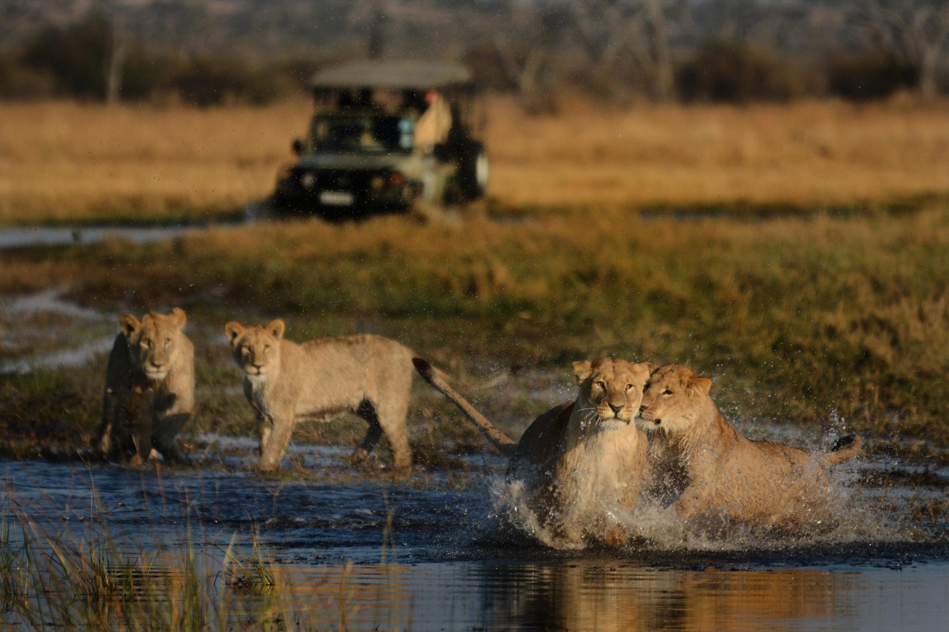 Chobe Region - Botswana Holidays